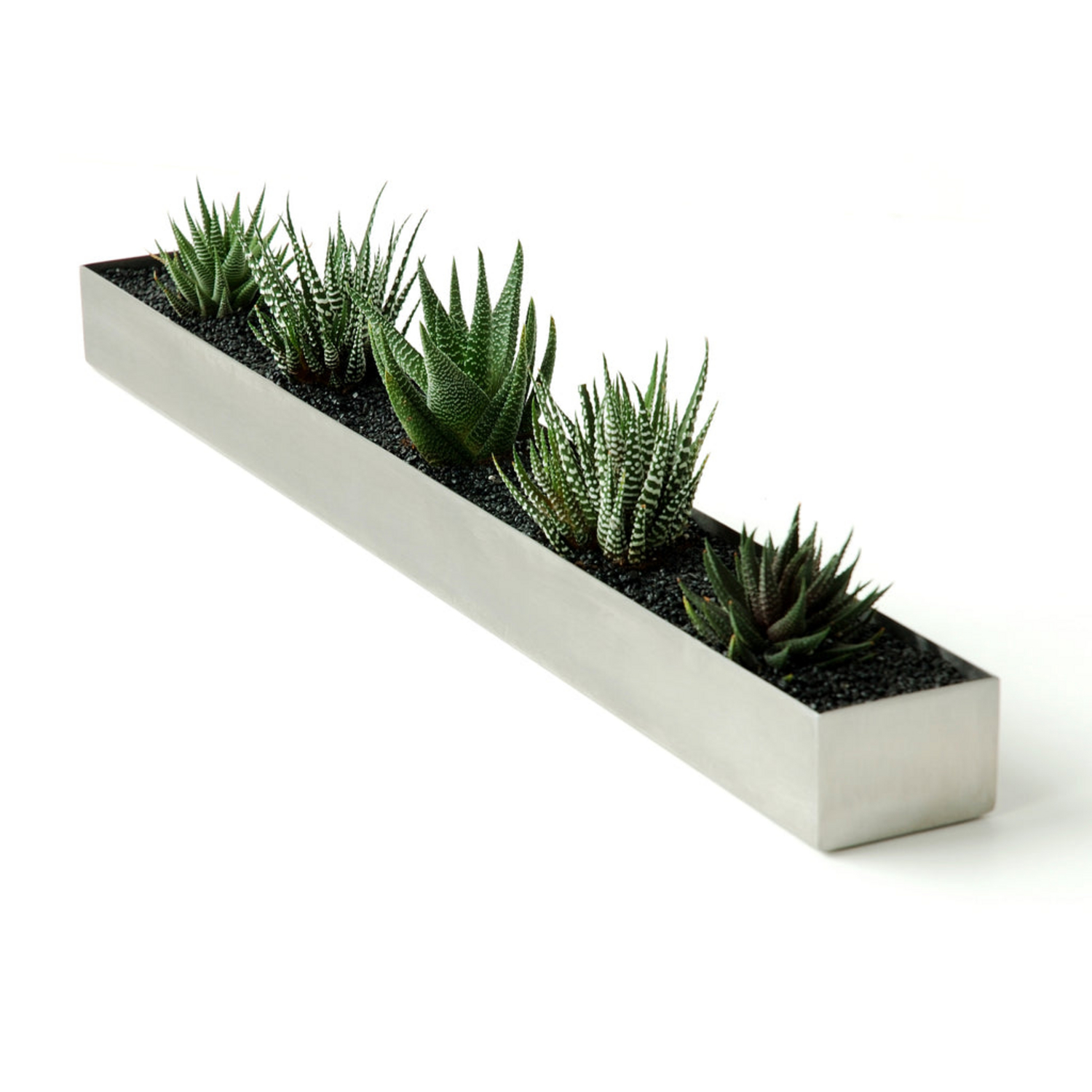 Trough Tray | Karen Richani